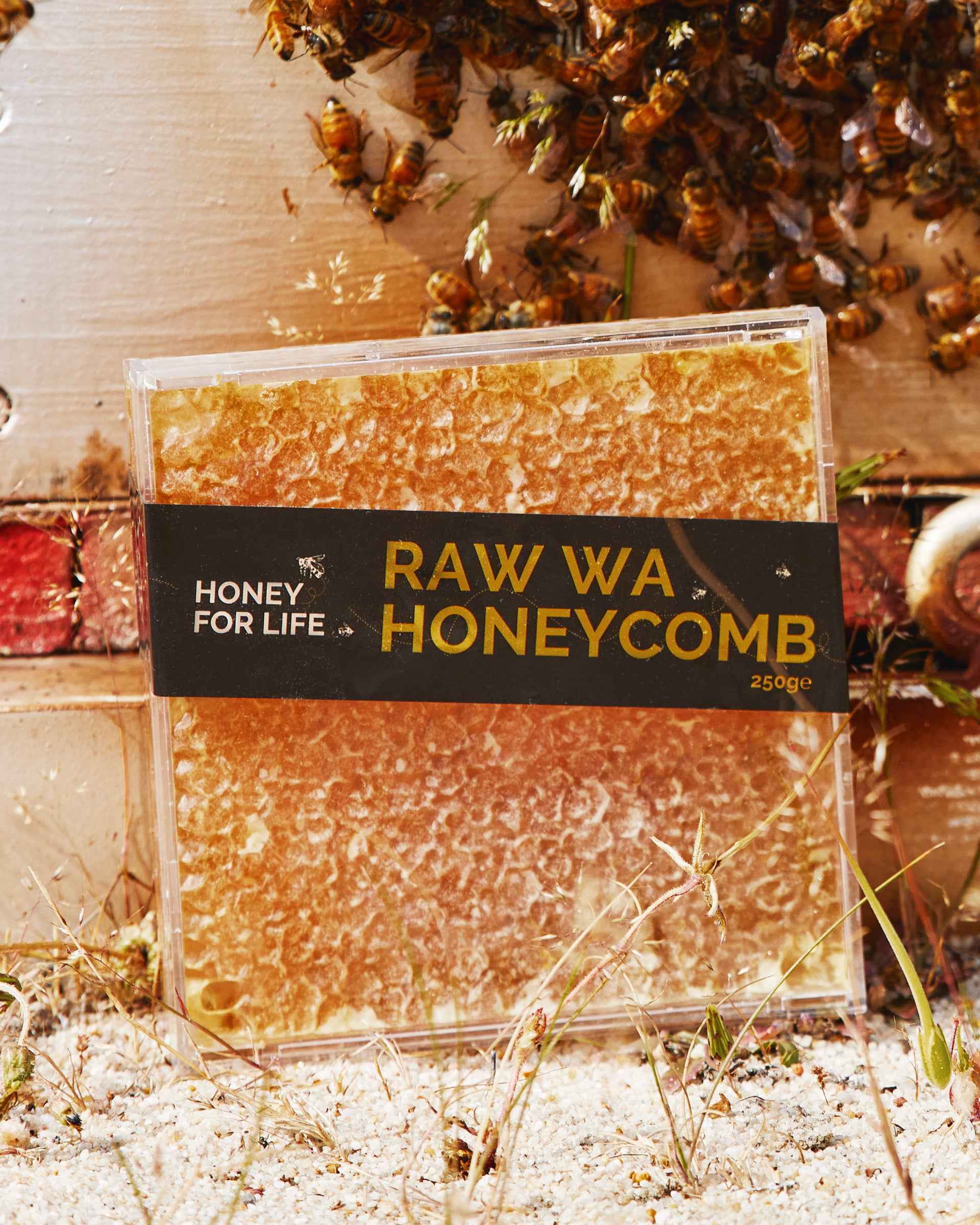 Buy Raw Premium Western Australian Honeycomb – Honey For Life / Australia
