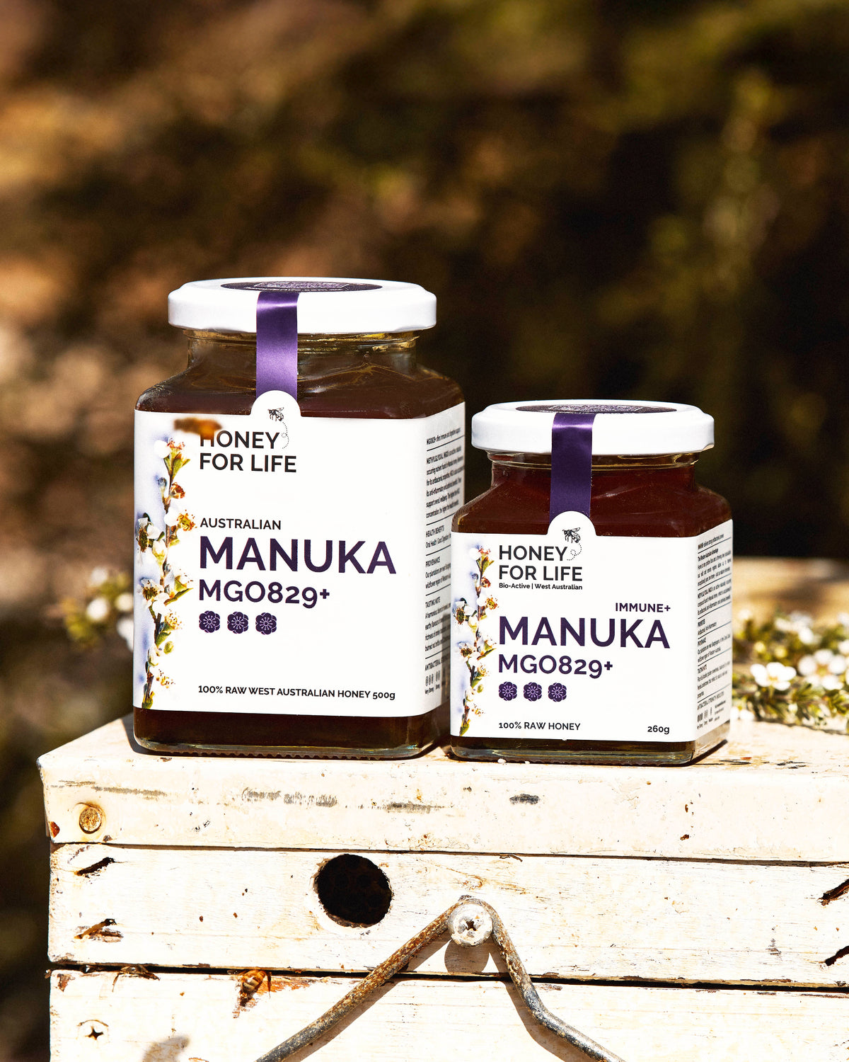 Manuka Honey | Pure 100% Australian | Buy Online – Honey For Life ...
