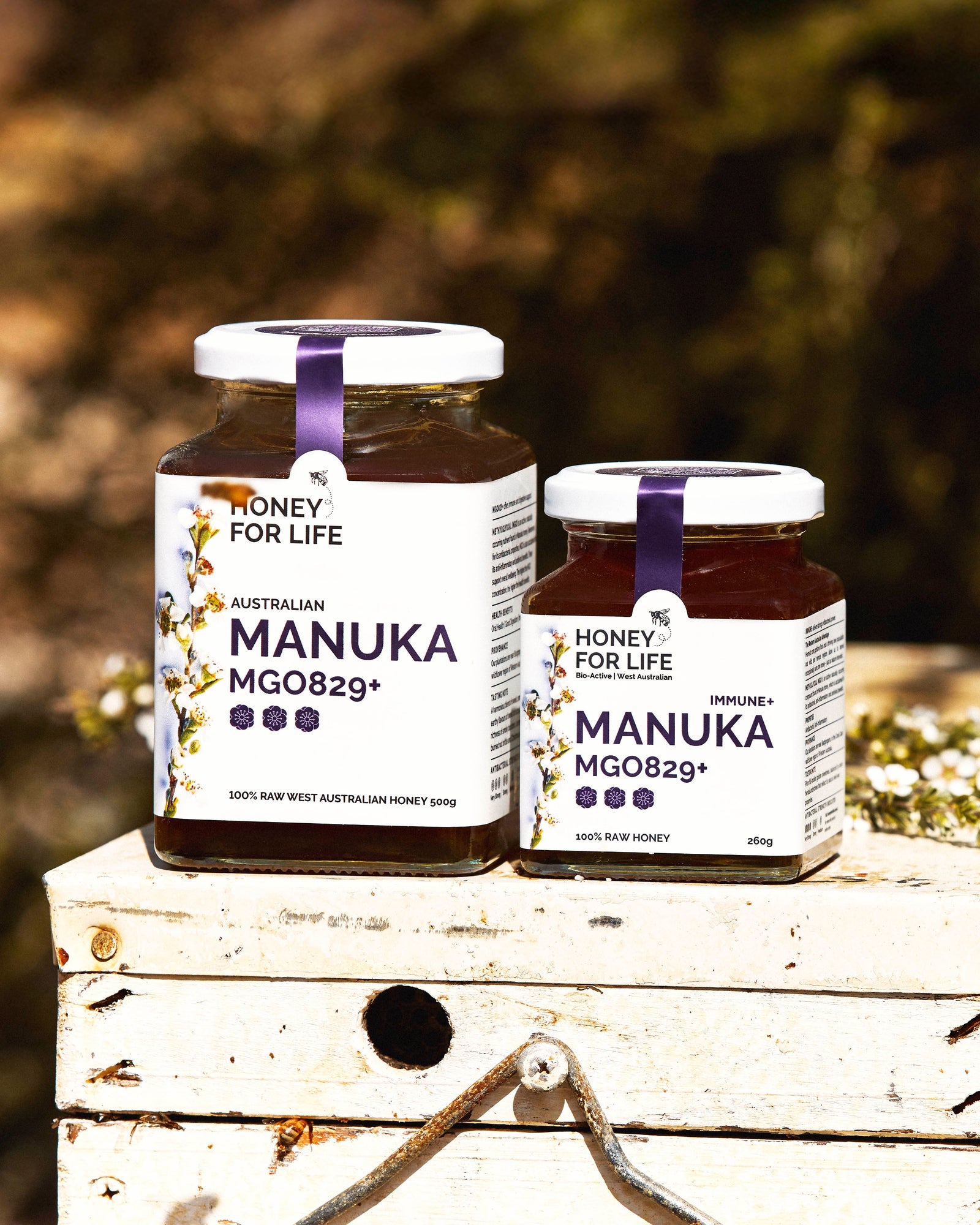 Manuka Honey | Pure 100% Australian | Buy Online – Honey For Life ...