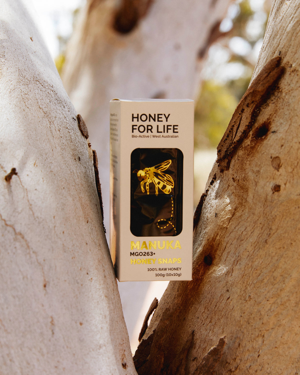 Honey Straws | Australian Manuka & Jarrah Honey Sachets – Honey For ...