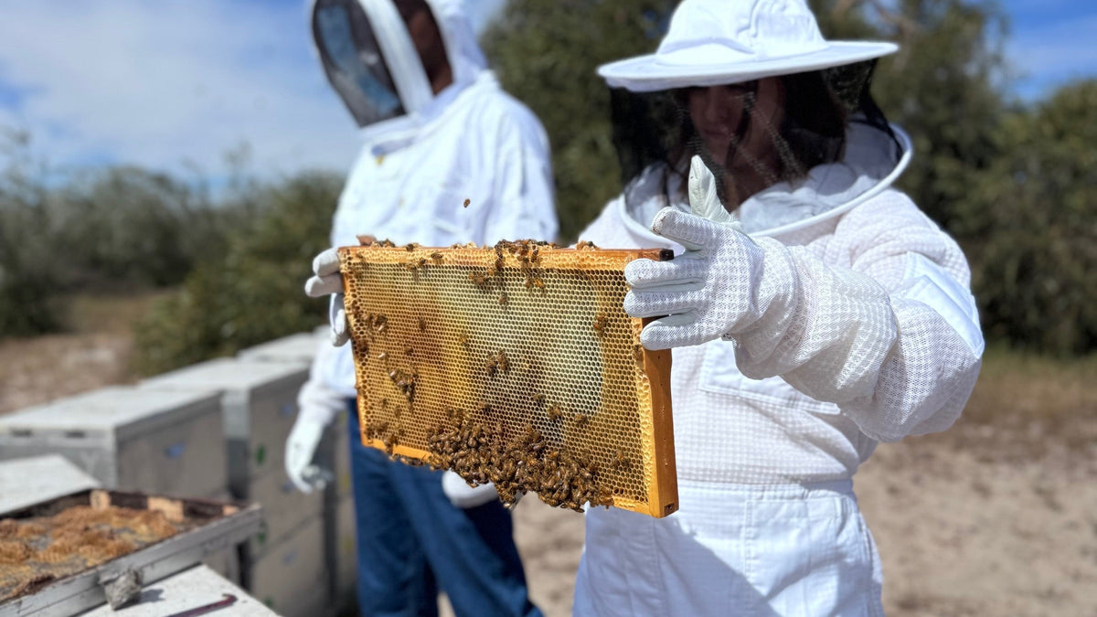 Natural Honey & Raw Natural Honey | Pure Natural Honey | Honey For Life ...