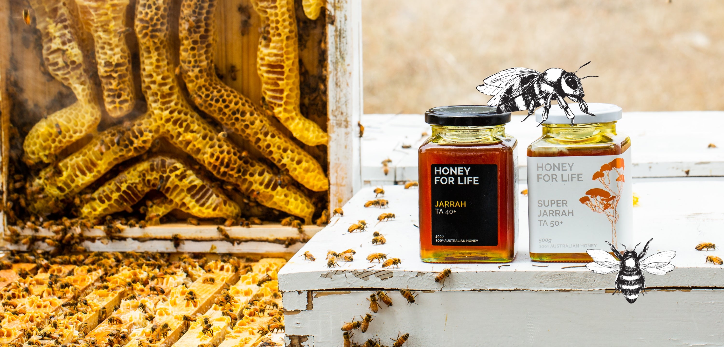 Premium Raw Honey | Shop 100% Western Australian Honey Online
